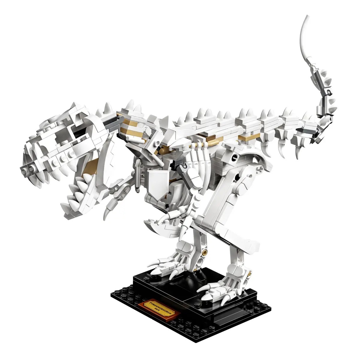 LEGO 21320 Fossili di Dinosauri | LEGO Ideas