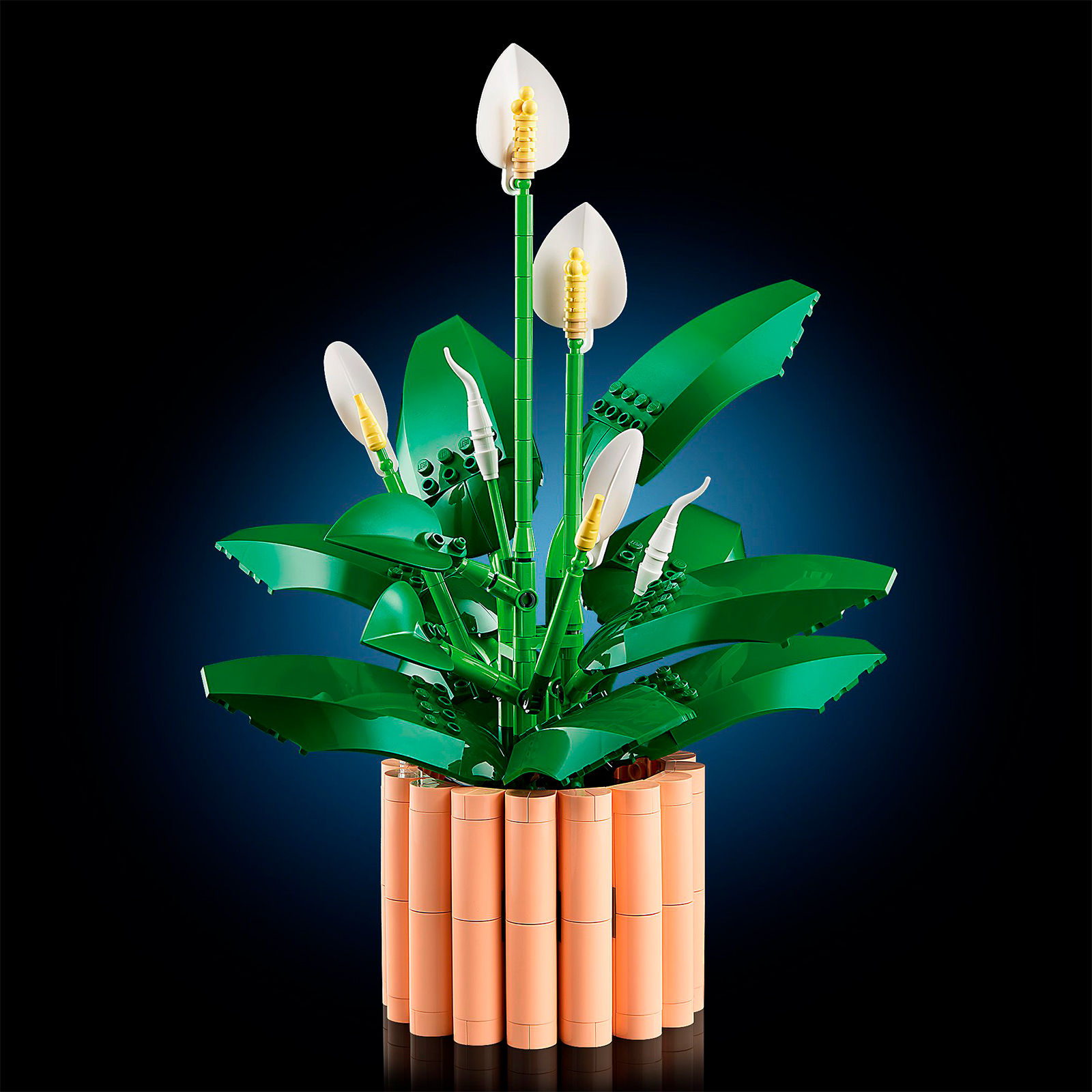 LEGO 11504 Spatifillo in fiore